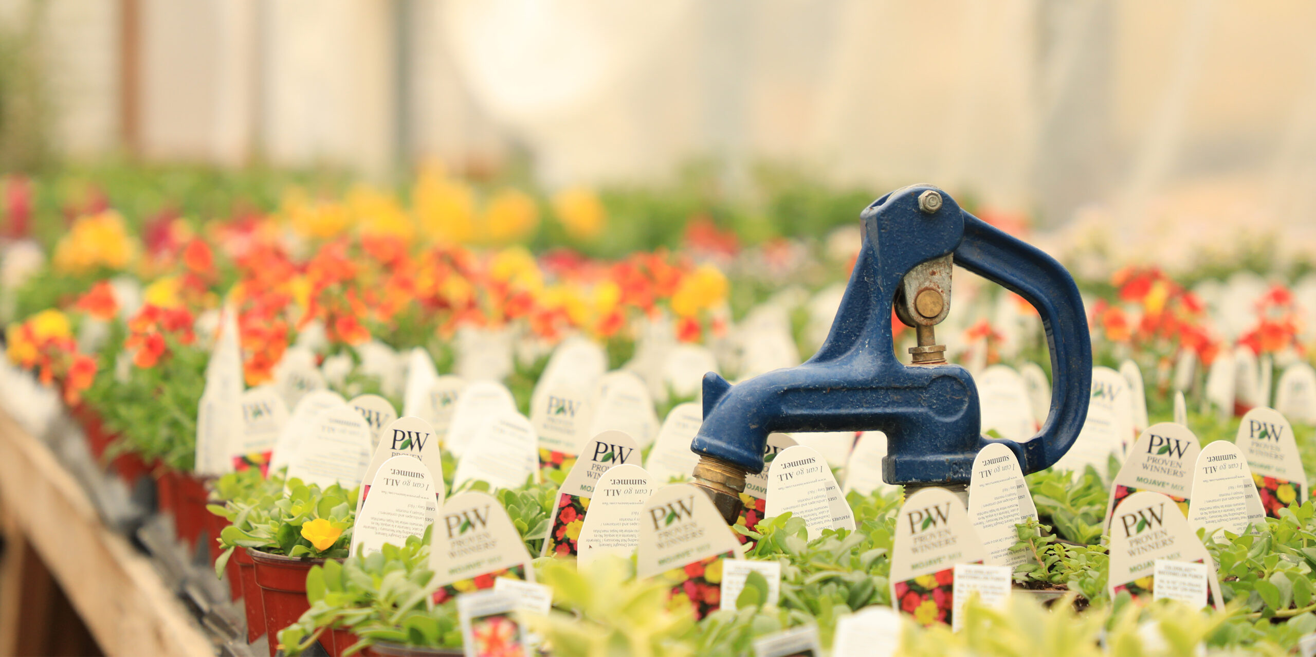 Spring Slider Set 2-1